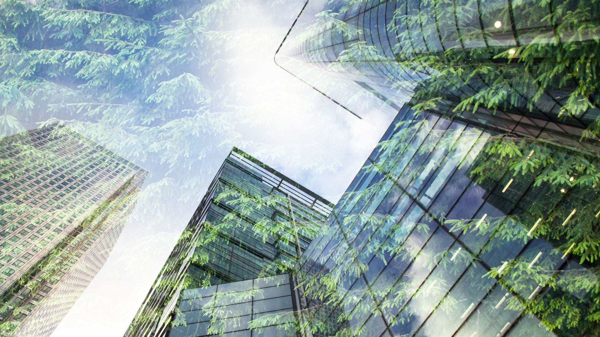 ESG Beratung Immobilien | simon+savas